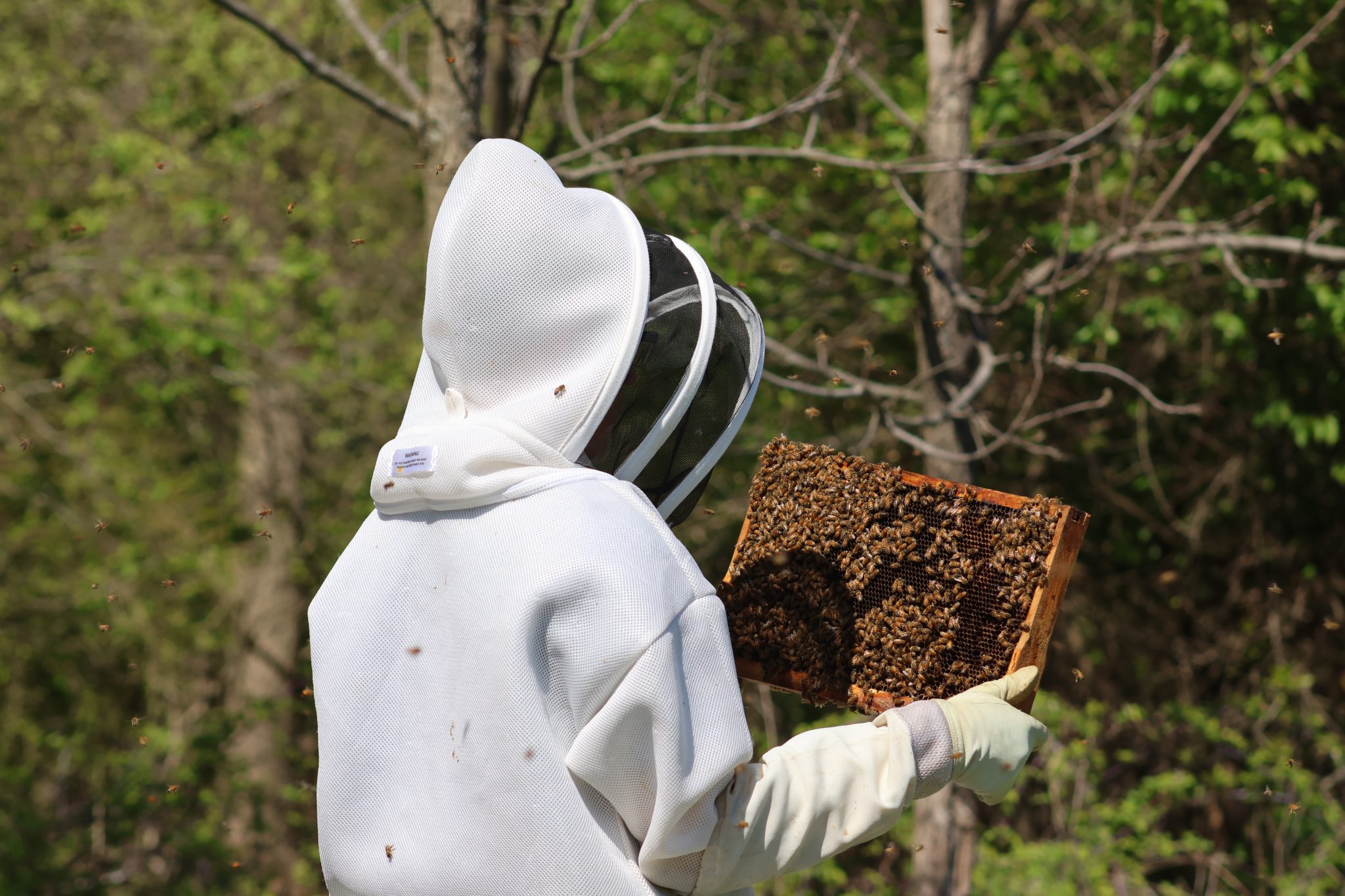 Home - Beeline Woodenware | Beekeeping Supplier and Apiary