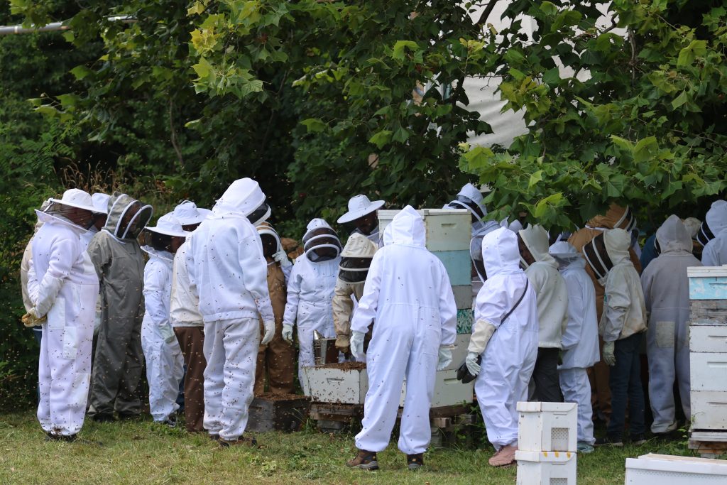 Bee Classes - Beeline Woodenware