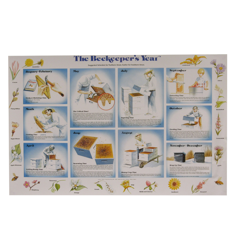 Poster-Beekeeper's Year Chart - Beeline Woodenware